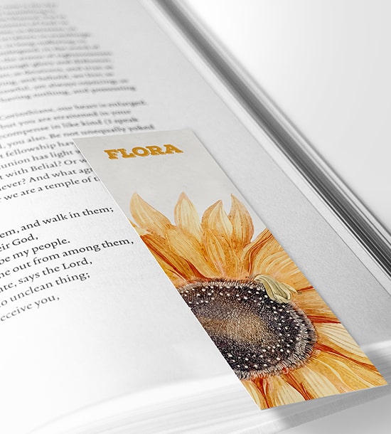 Definition Of Bookmarks/Favourites at Shelley Siegel blog