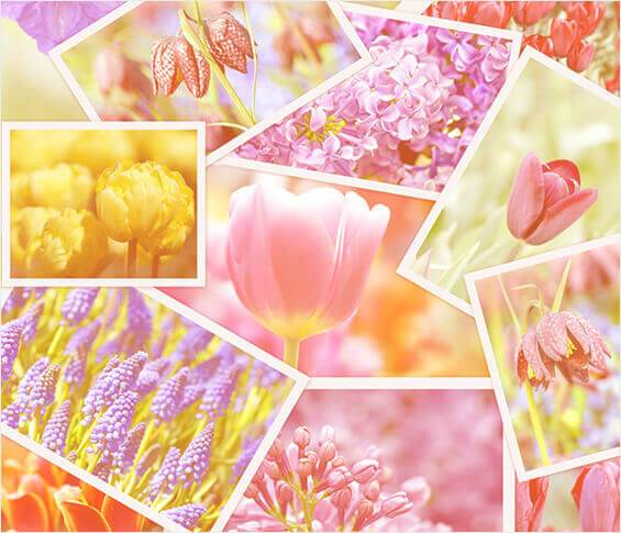 Photo Prints - High Quality Digital Photo Printing Online